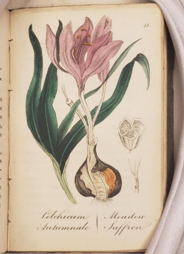 Poisons and the development of Toxicology in the 19th century — Royal ...