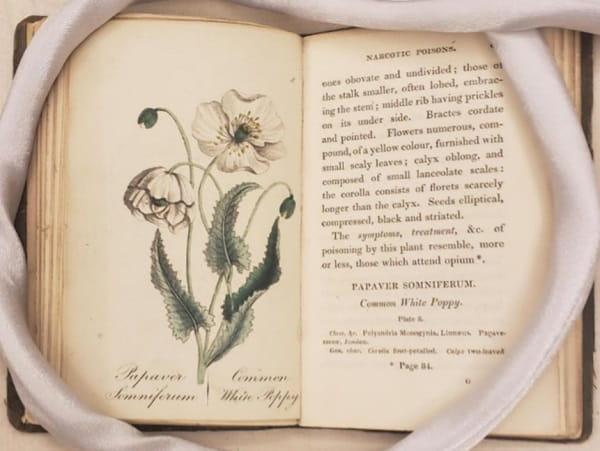 Poisons and the development of Toxicology in the 19th century — Royal ...