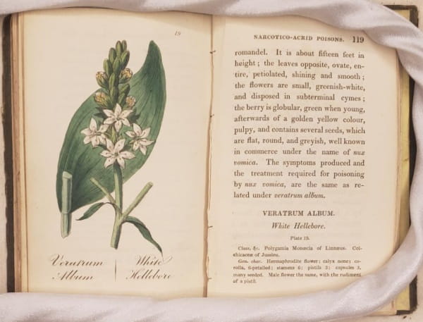 Poisons and the development of Toxicology in the 19th century — Royal ...