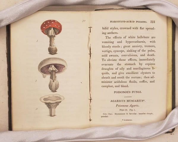 Poisons and the development of Toxicology in the 19th century — Royal ...